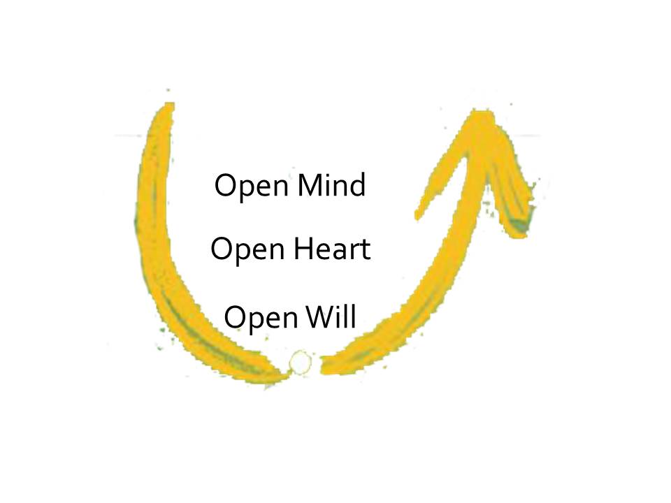 Theory U for Societal Change: A powerful Tool to change Yourself and ...